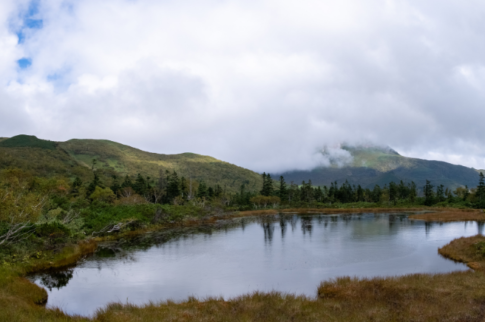 知床半島夏天行程精選 9 大景點 | 知床不可思議